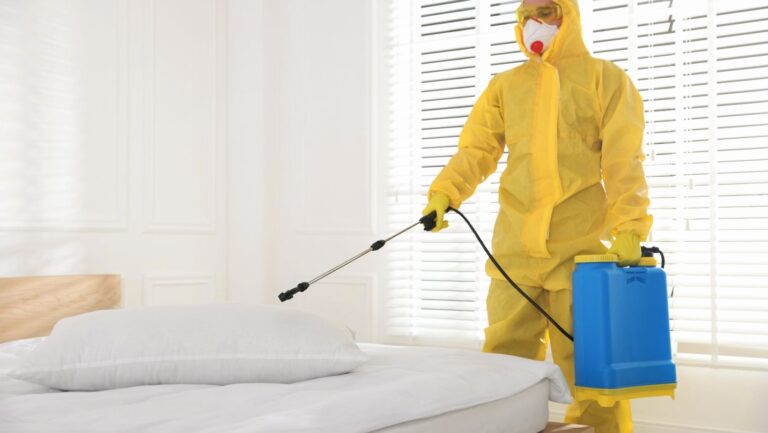 Effective Strategies for Mosquito Control in Outdoor Living Spaces ...