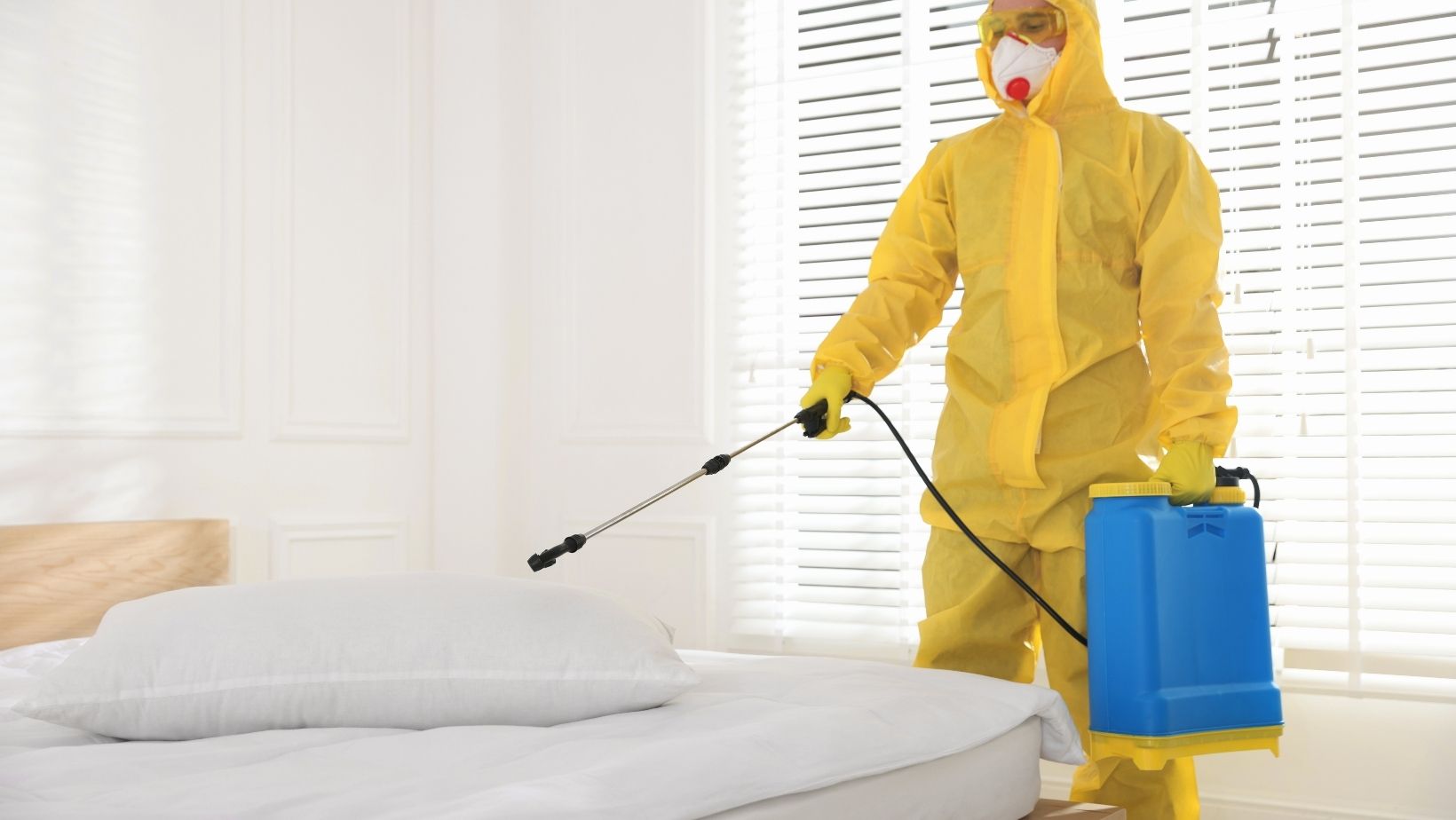 Effective Strategies for Mosquito Control in Outdoor Living Spaces ...